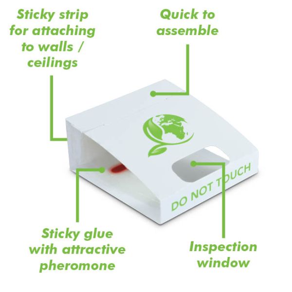 Insect Trap with Window – Conservation Resources (UK) Ltd