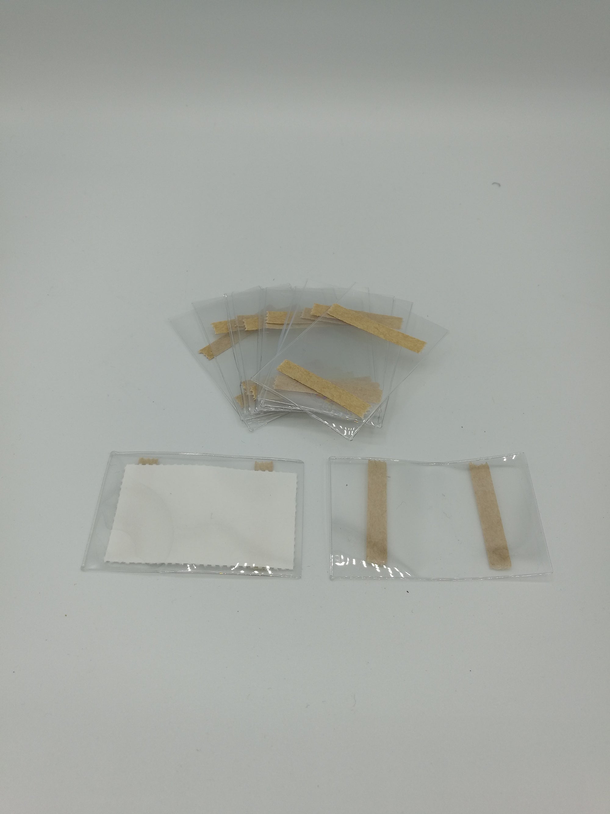 Archival Label Holders – Conservation Resources (UK) Ltd