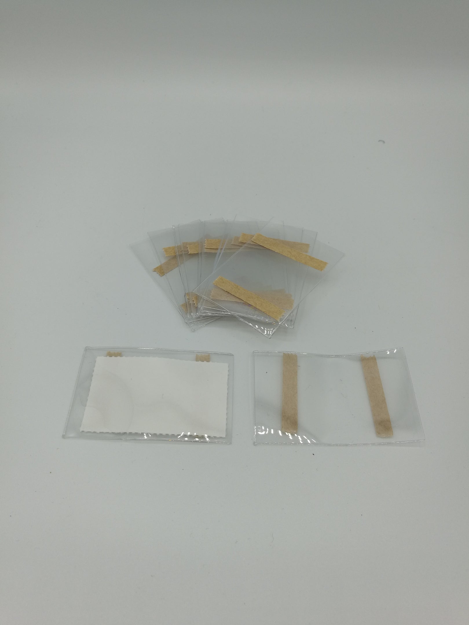 Archival Label Holders – Conservation Resources (UK) Ltd